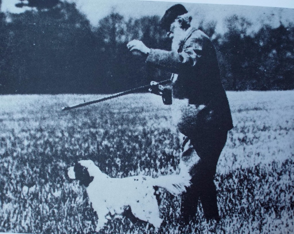 Llewellin Setter History – East Coast Llewellin Setters